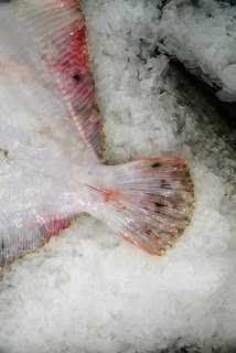 Through the Gaps! - Newlyn Fishing News: 01/11/16 - 01/12/16 Cornwall ...