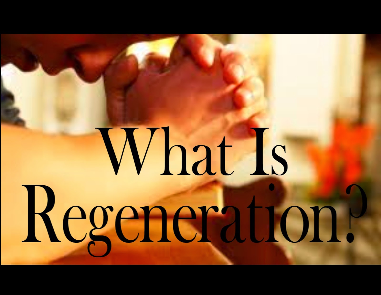 MaxEvangel: What Is Regeneration?