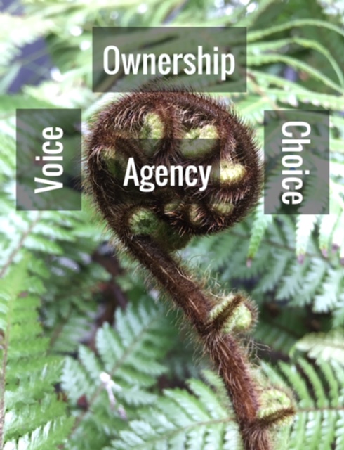 The Thinks You Can Think: Agency- Voice, Choice and Ownership