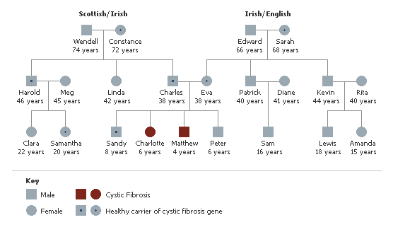 BIOLOGY AND GEOLOGY 4º ESO: YOUR FAMILY TREE