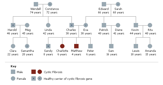 BIOLOGY AND GEOLOGY 4º ESO: YOUR FAMILY TREE