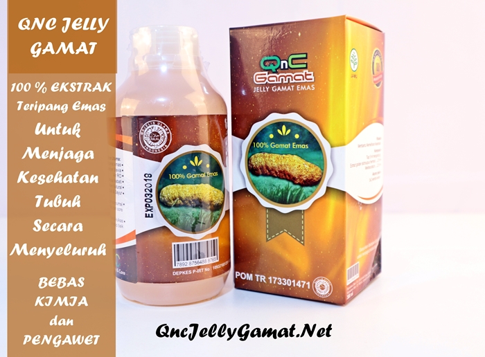 Manfaat QnC Jelly Gamat bagi kesehatan tubuh