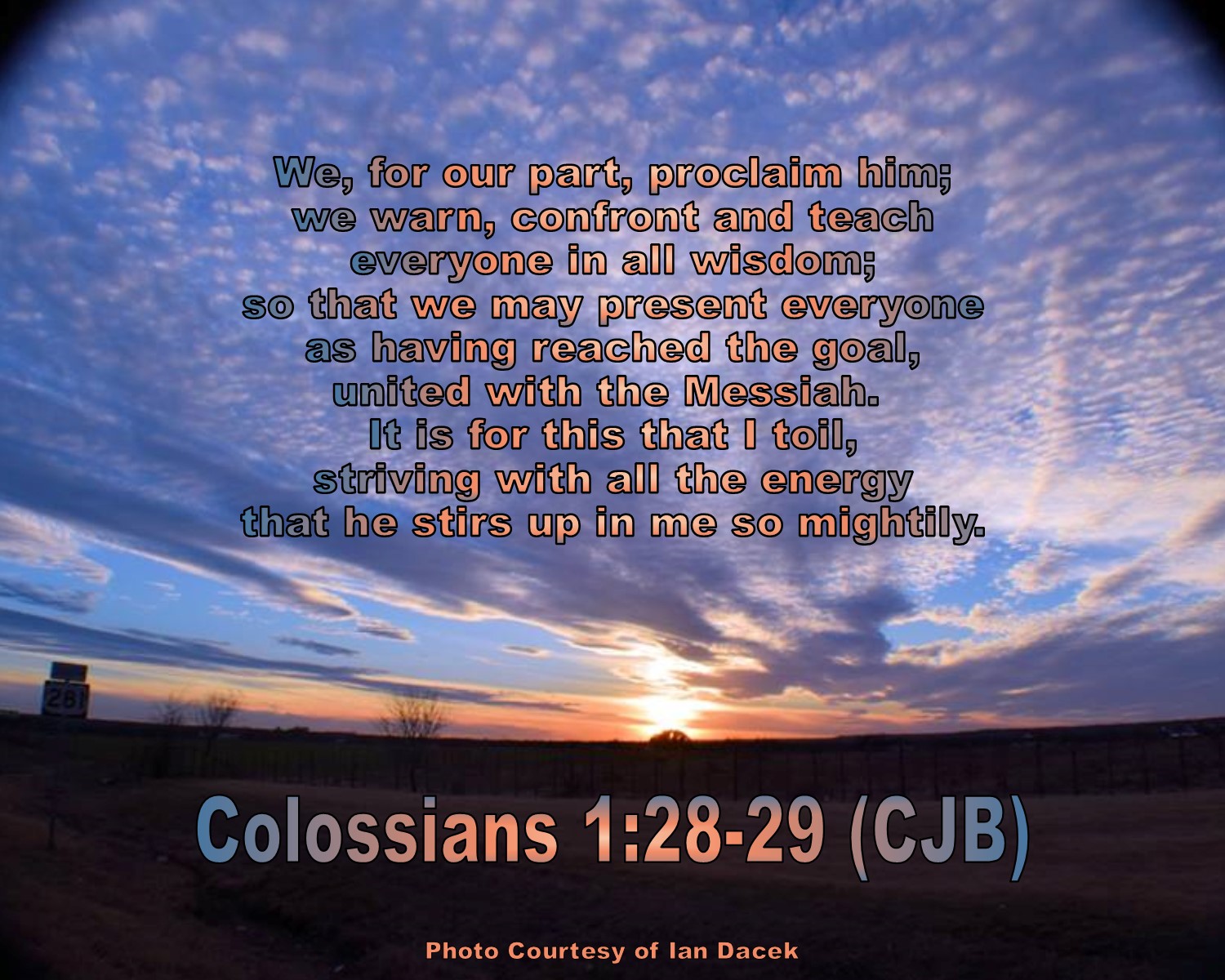 Susies' Musings: February 2017