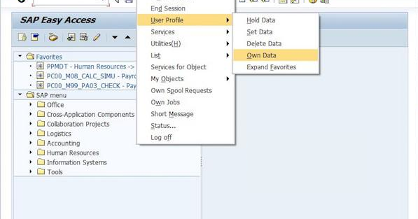 SAP End User Customization | SAP Online Guides