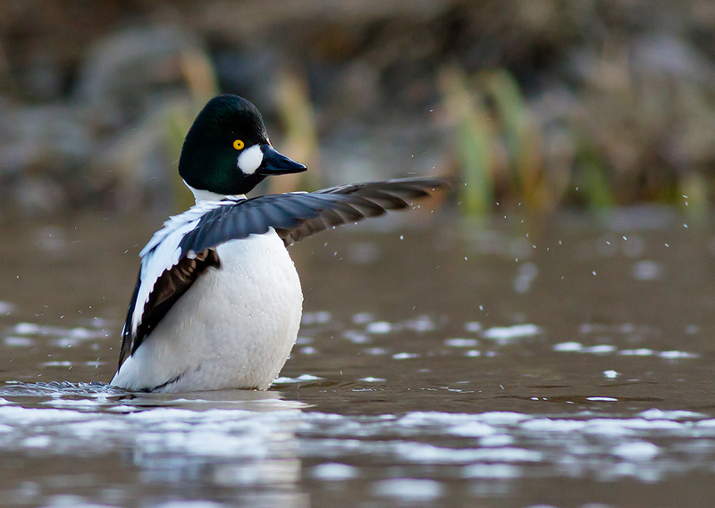 Zsombor Károlyi's Photo Blog: Spring break - Part 1