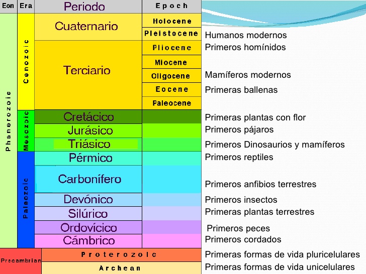 el origen humano: ERAS GEOLOGICAS Y LA VIDA