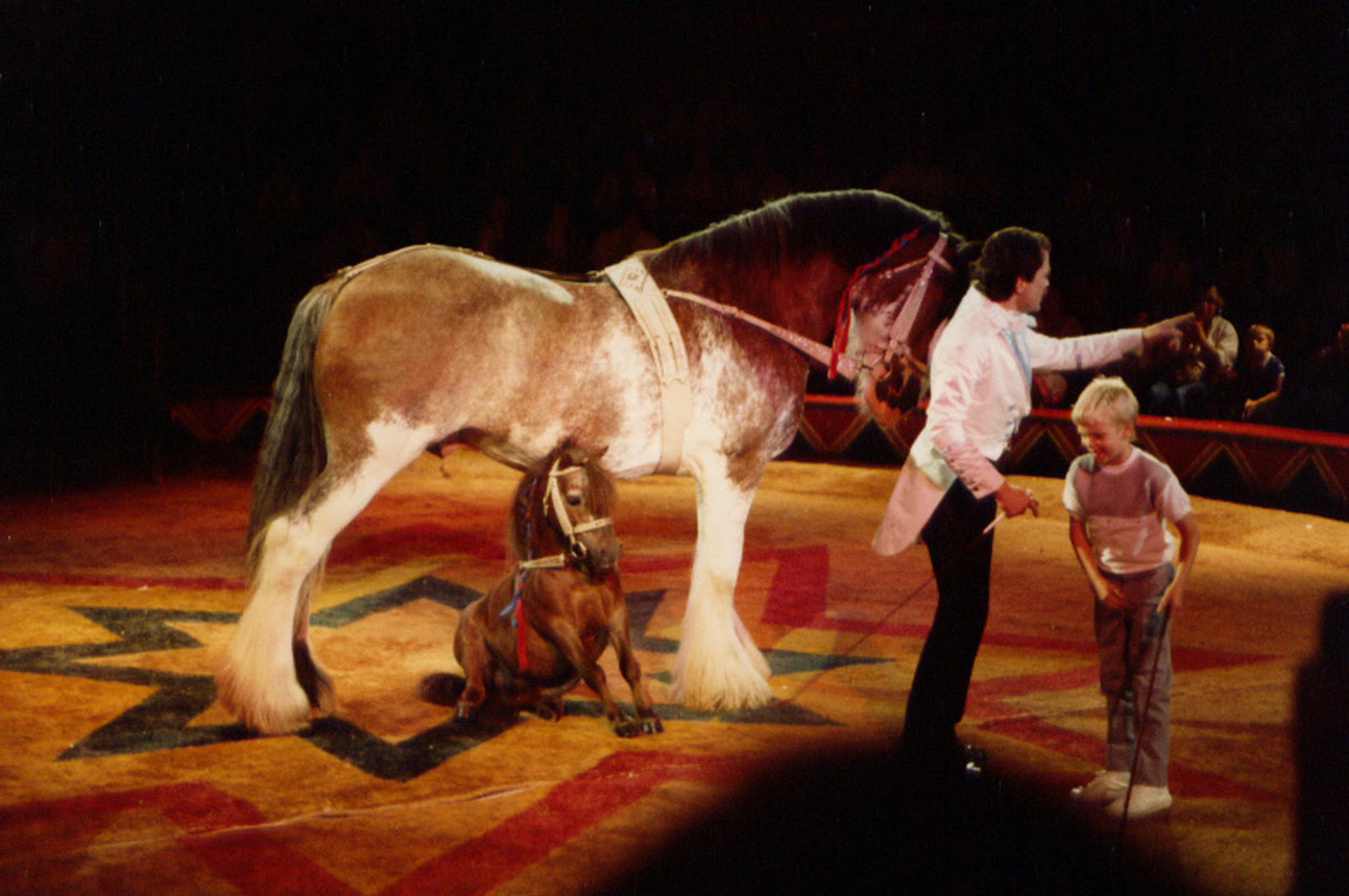 A friend of the Circus: David Hibling