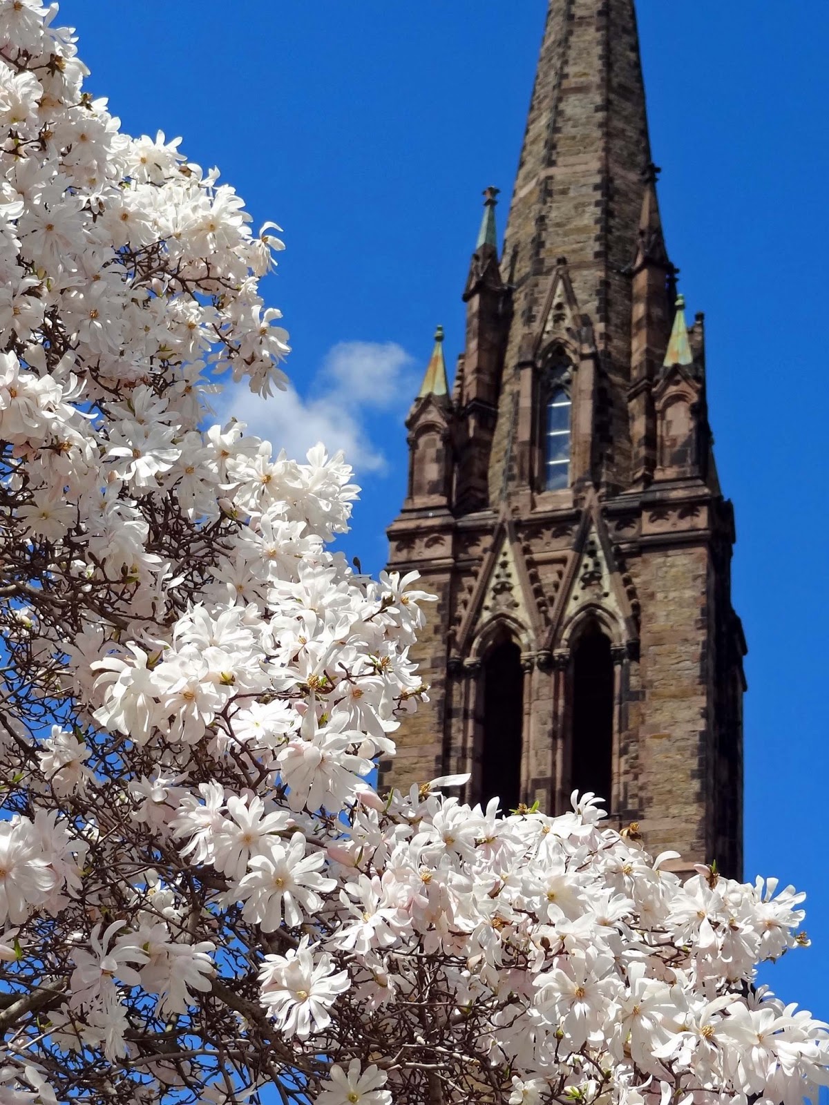Joe's Retirement Blog: Spring, Boston, Massachusetts, USA