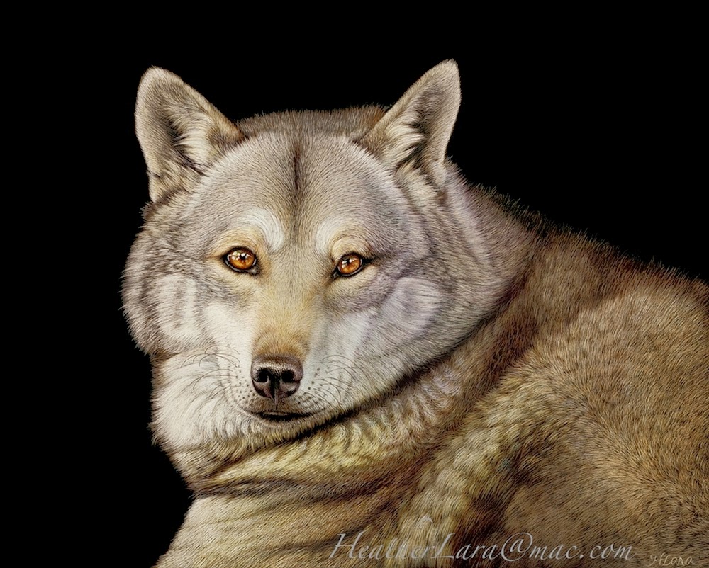 Design Stack: A Blog about Art, Design and Architecture: Hyper ...