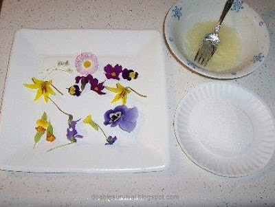 Survival and Preparedness on a Budget: How to Crystallize Flowers