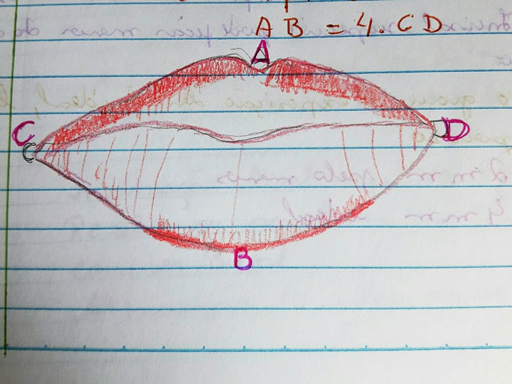 Anatomia dos lábios:sua importância