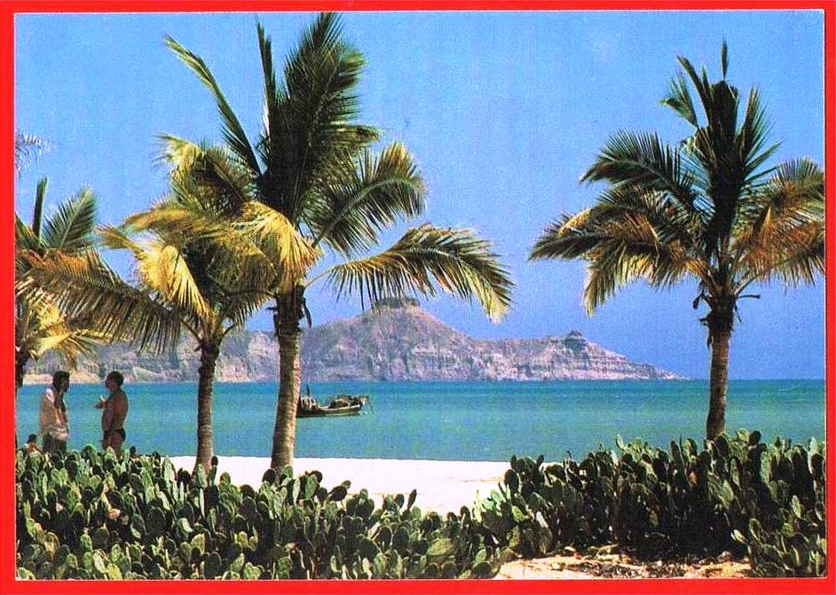 tropicalia: reino de Benguela