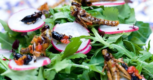 Are Edible Insects the Food of the Future?