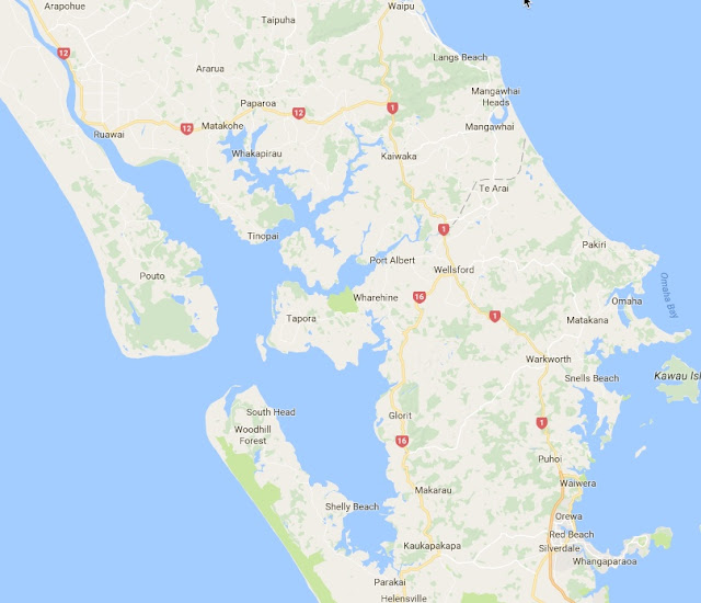 A Kiwi at the camera