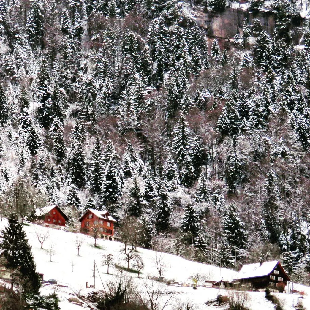 Lucerne in Winter: 18 Cool Things to Do, See, and Eat | Sidewalk Safari ...