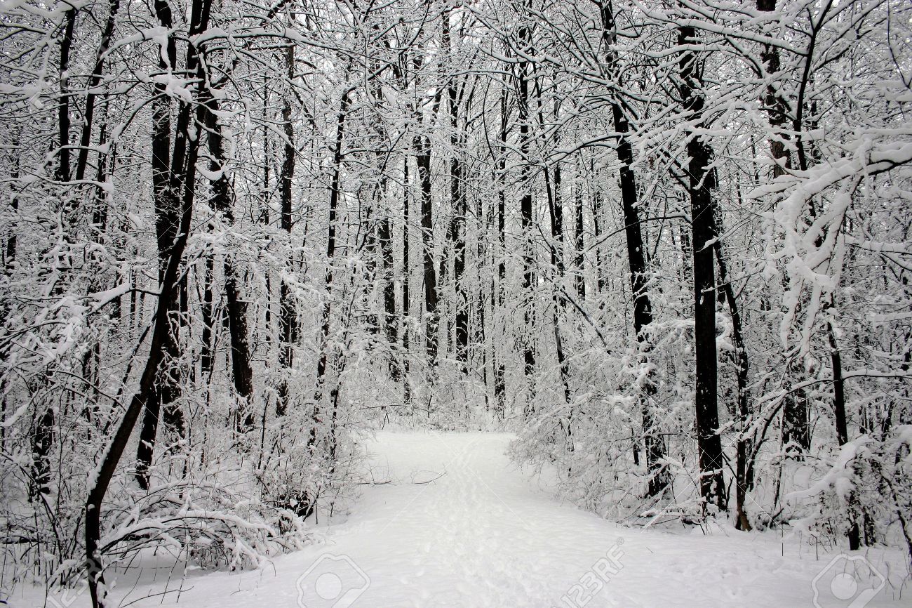 English, Literature, and the Bible: Stopping by Woods on a Snowy ...