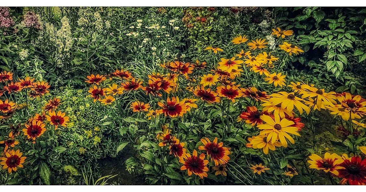 Silverpixel: SUMMER TEXTURES