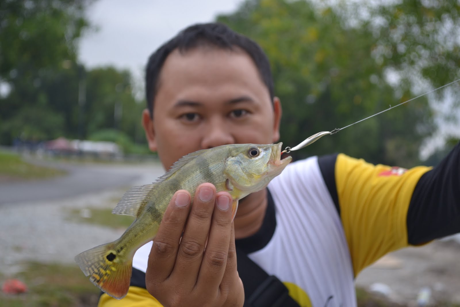 Joranharian.blogspot.com: Merak Bass@ Ikan Raja