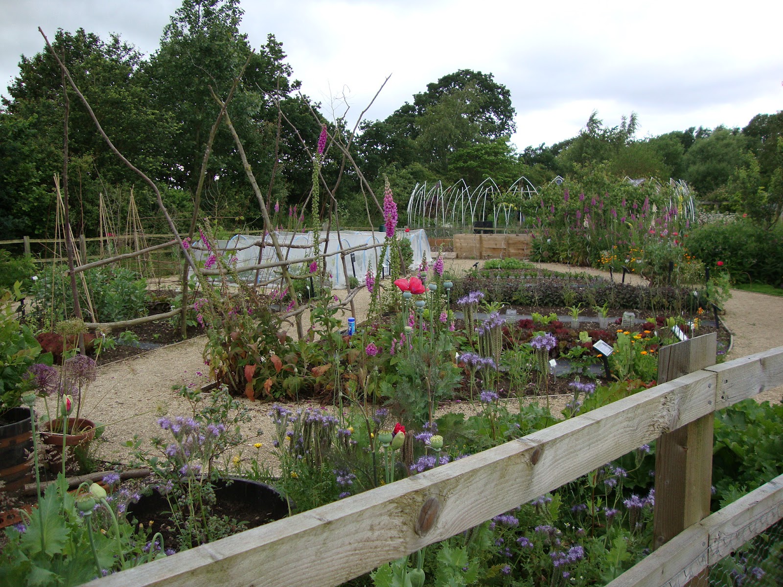 Seeds, roots, leaves and fruits...: Ryton Gardens