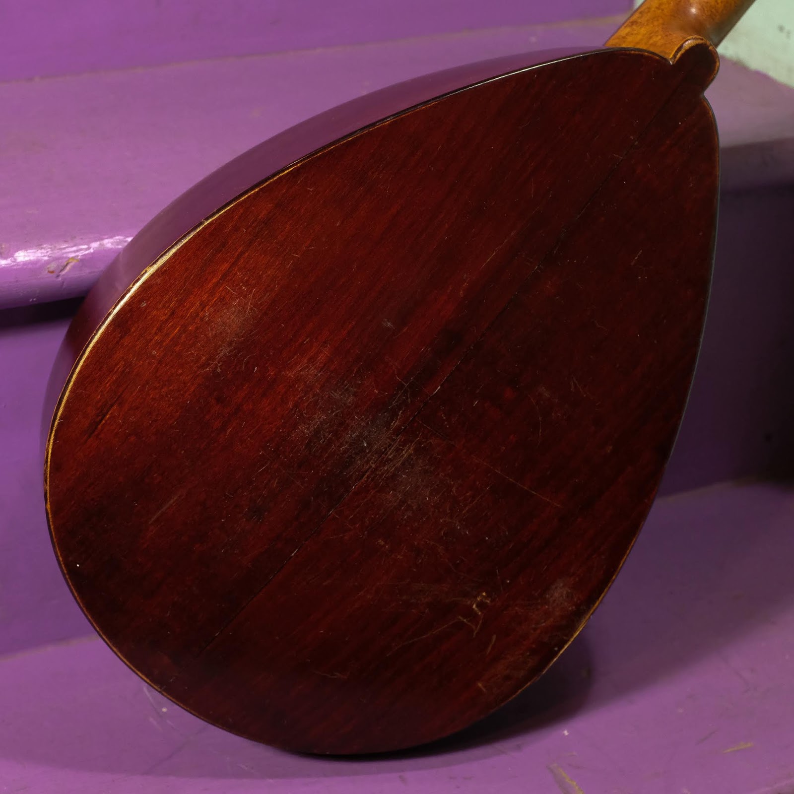 1917 Weymann Style 15 Mandolute Mandolin