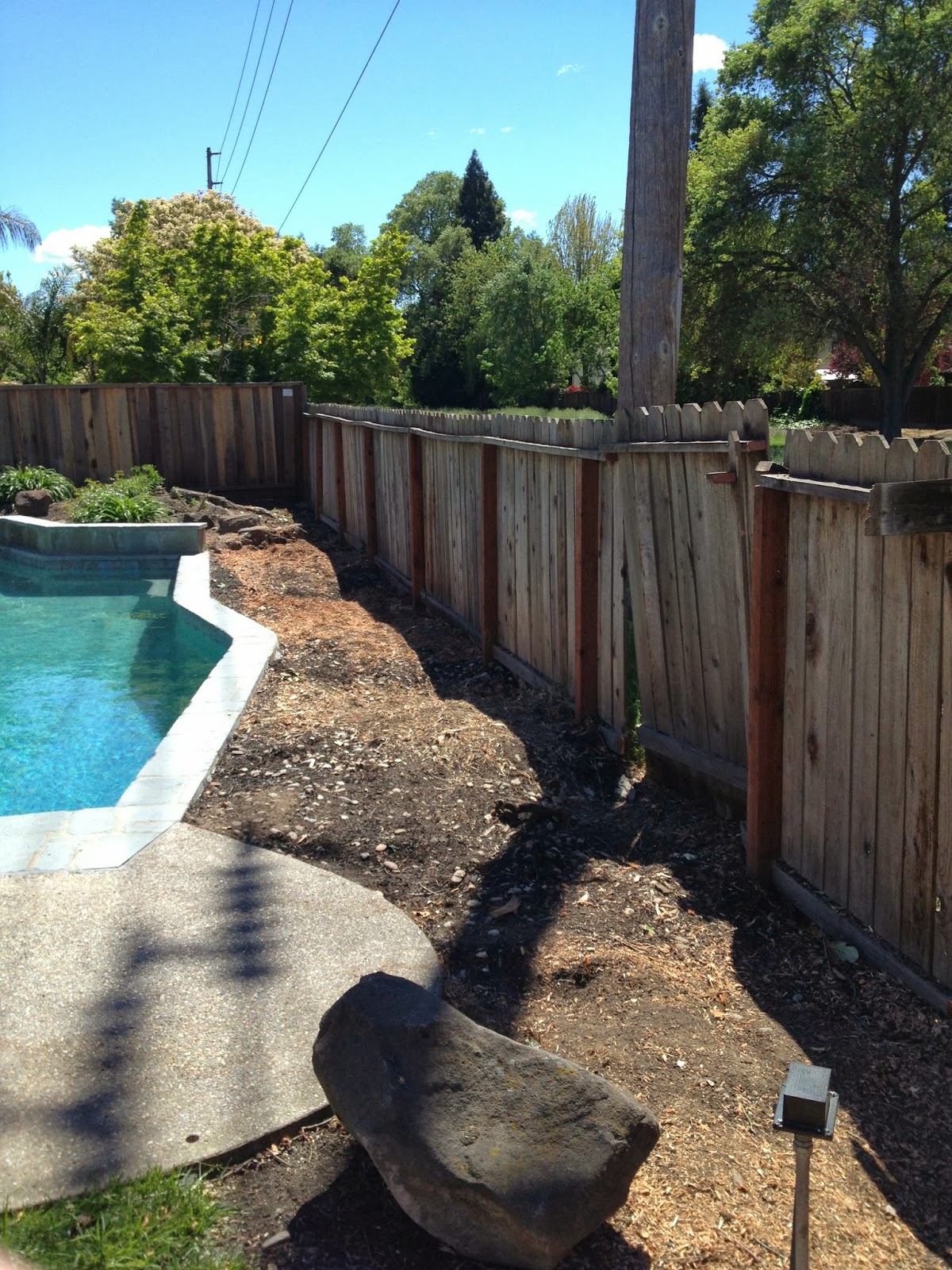 The Larson Lingo: Before & After: Backyard Edition, Phase 2