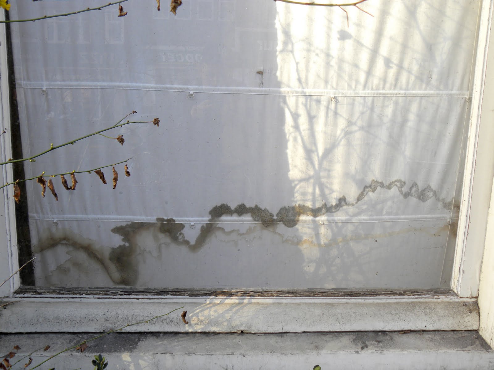 Hideous Window Decorations