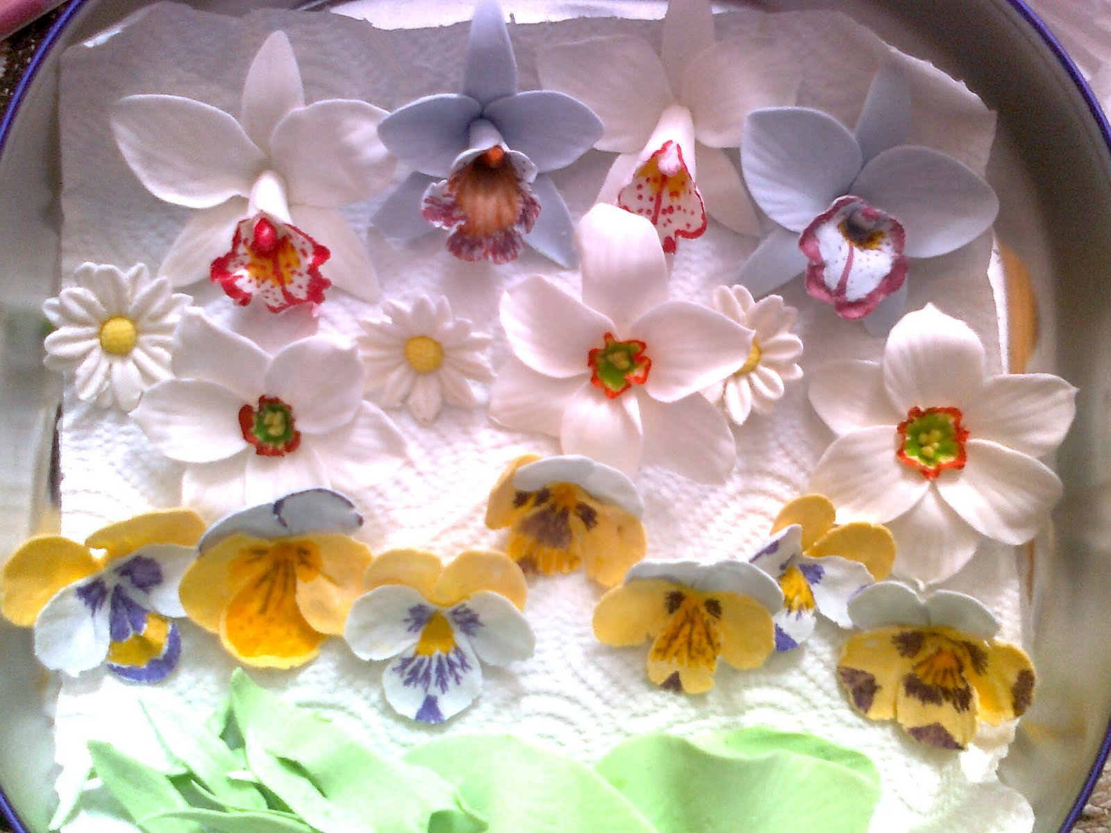 de toate: Flori de primavara