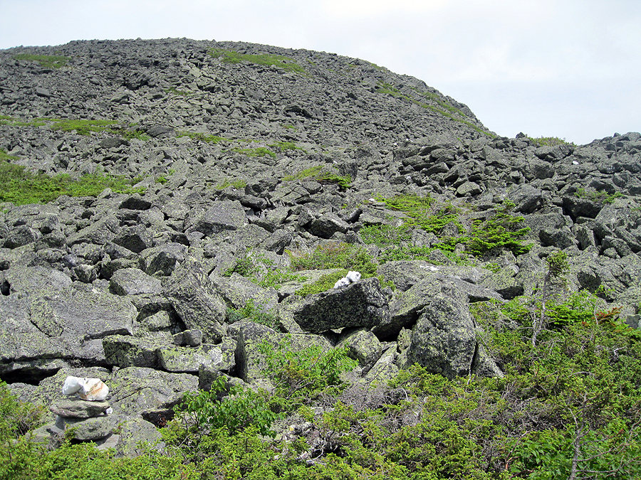 Hiking in the White Mountains: The Abandoned Adams Slide Trail
