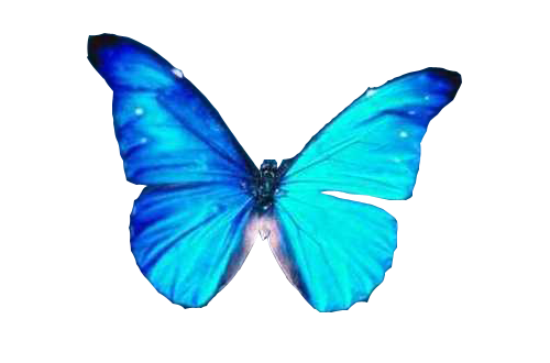 Sfaturi Pentru Admini :*: Poze PNG diverse :)