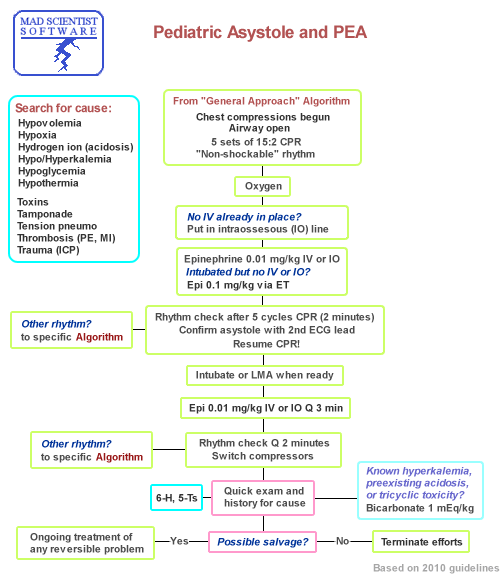 Algoritma ACLS, Advance Cardiac Life Support Algorithm Medical Articles