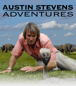 World of nature: Austin James Stevens……A Renowned Herpetologist….