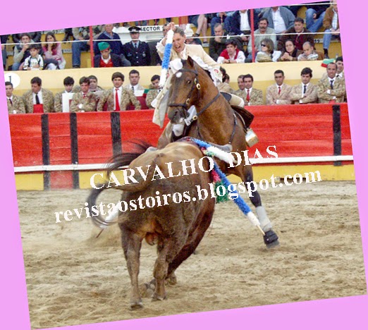 REVISTA OS TOIROS: A TEMPORADA 2014 DE ANA BATISTA