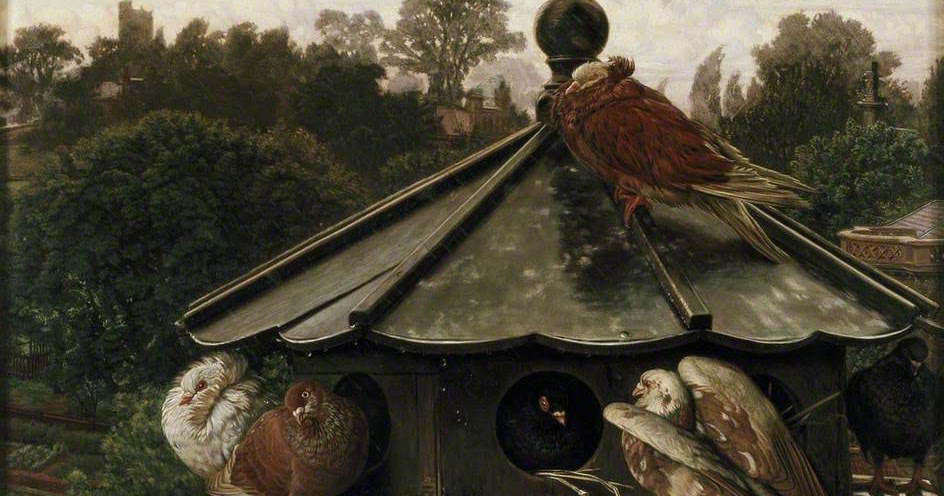 Happy Catholic*: Worth a Thousand Words: The Dovecot