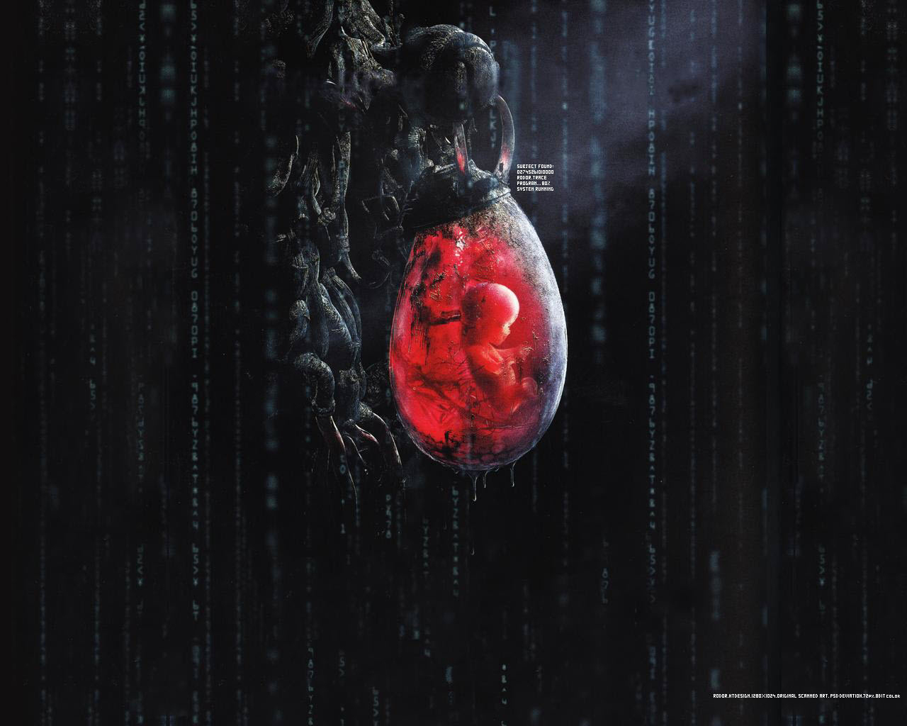 Bebé na Matrix | Imagens de Fundo