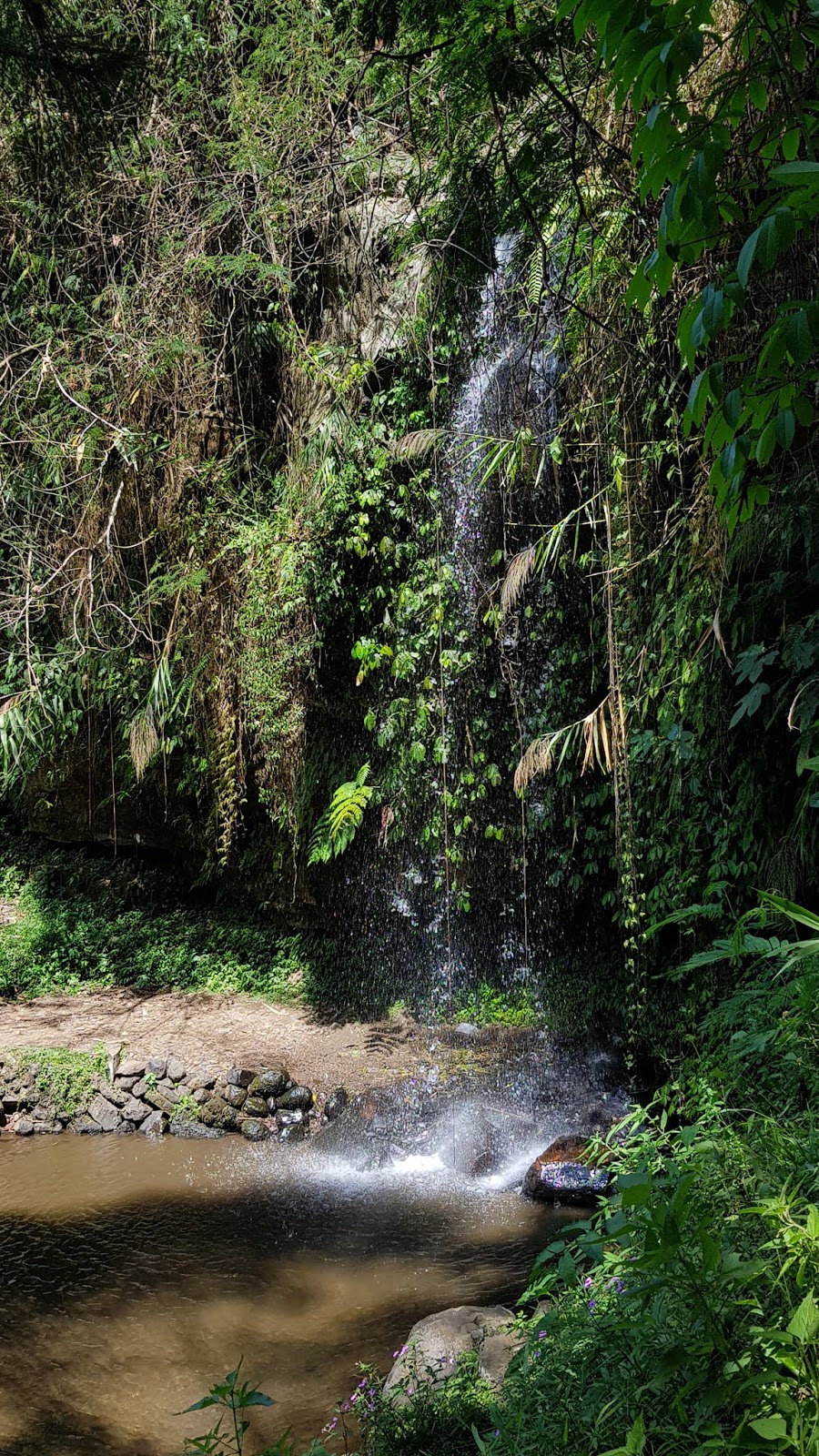 Mengunjungi Wana Wisata Capolaga: Curug Goa Gajah, Curug Sawer dan ...