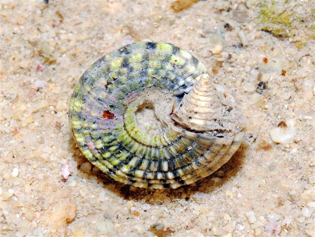 God's wonderful creation: CNY Day 2: St John's Island