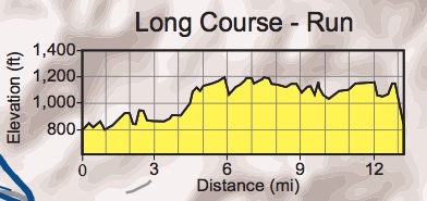make a run for it: Wildflower Long Course (Race Report)