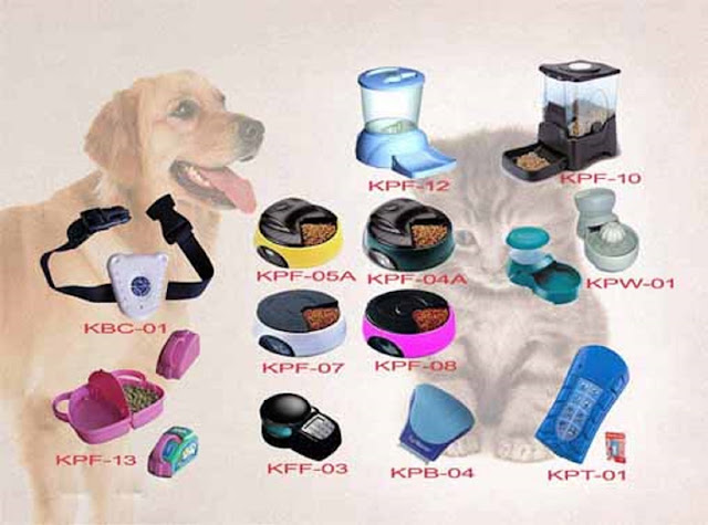 Important Dog Products to Keep Your Dog Safe and Healthy - Doglopedix
