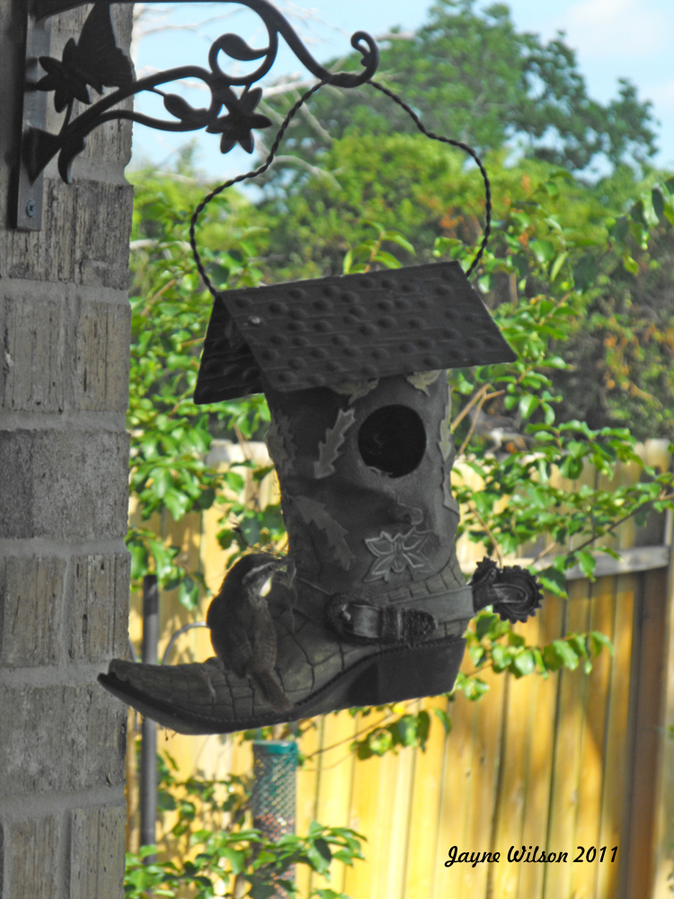 Jayne's Country Garden: My Sweet Texas Home