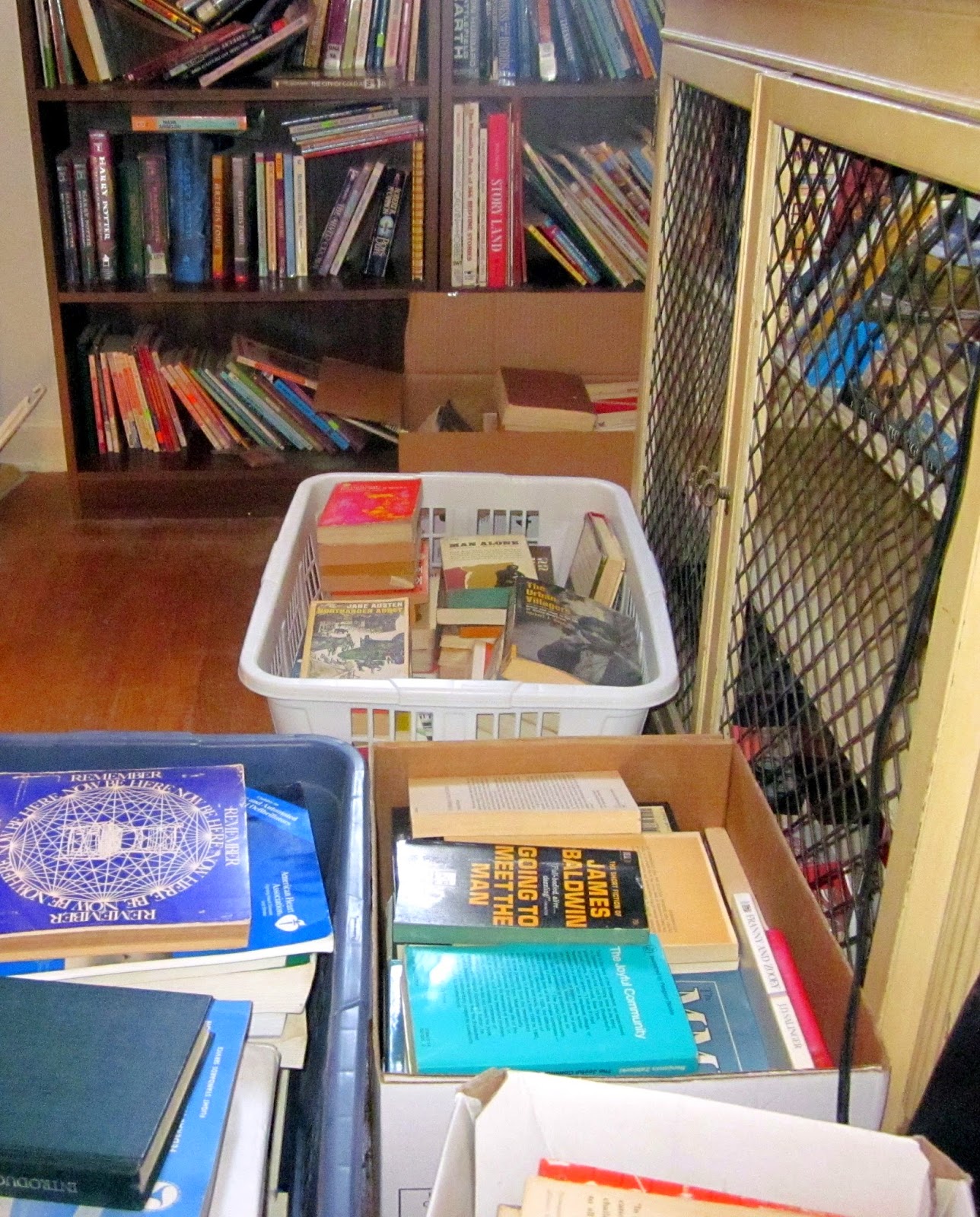 GAIL'S PLACE : Books, Books, Everywhere!