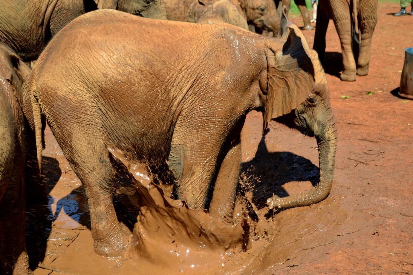 Meaghan the Mzungu: January 2013