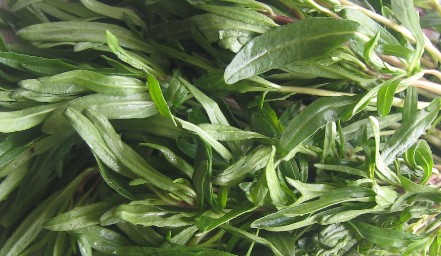 everythingtastiful: Everythingtastiful recipe for this week: Fresh Za ...