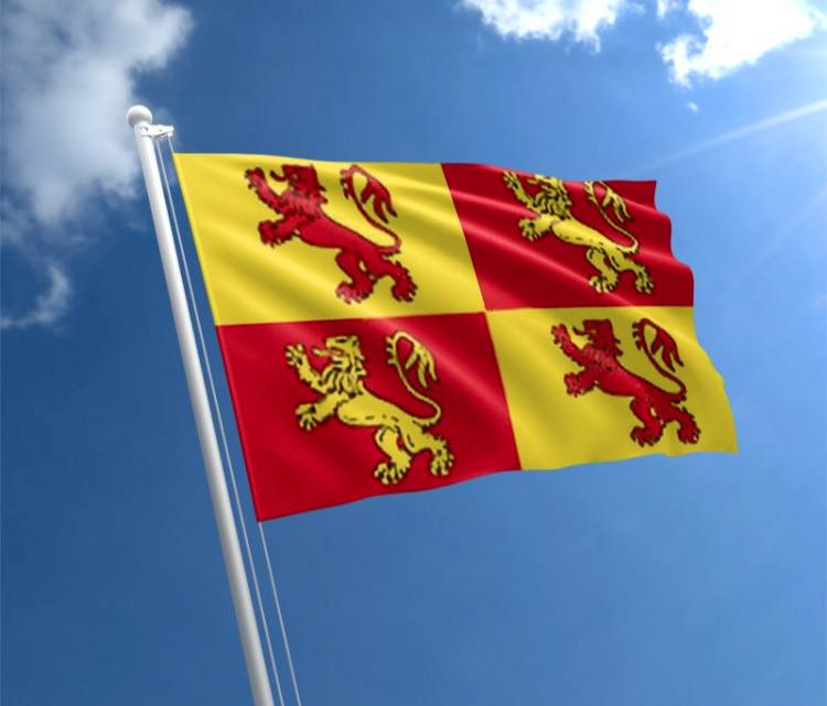 THE TRUE NATIONAL FLAG OF CYMRU.