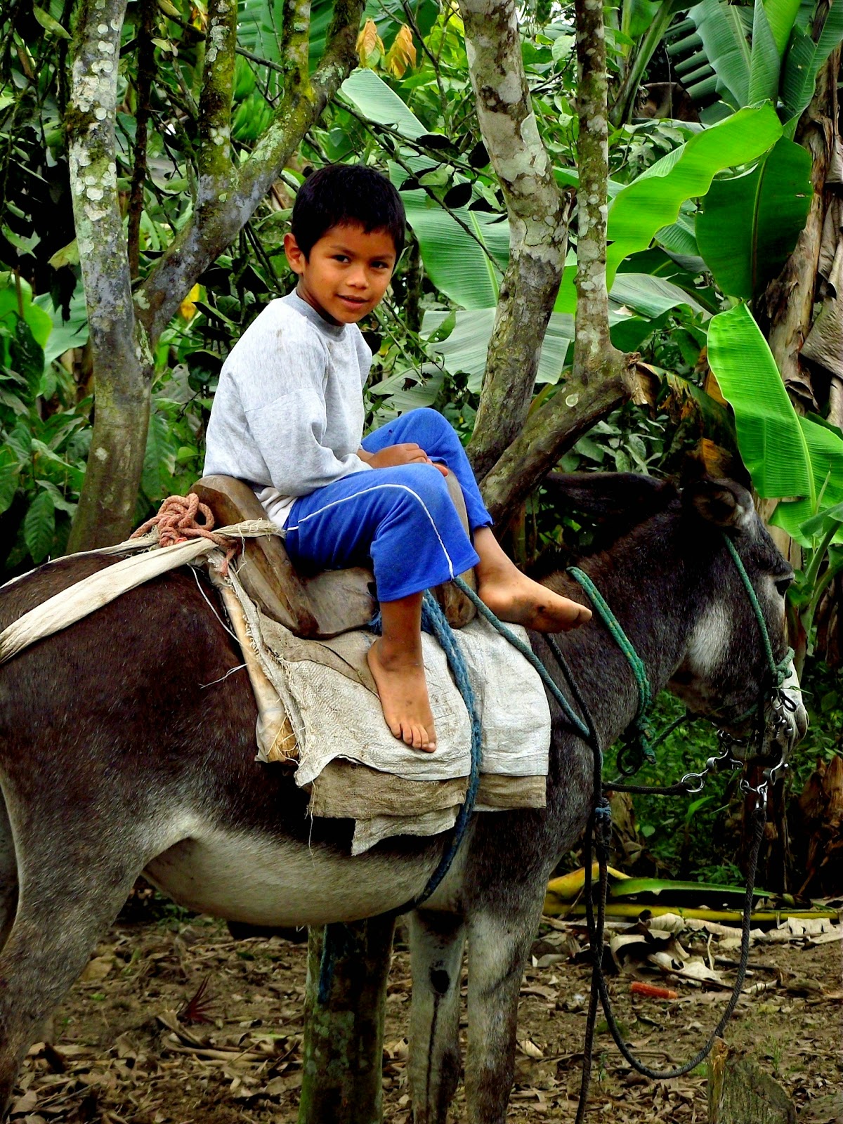 Pachamama Spectrum of Treasures: Indigenous Diversity in Ecuador