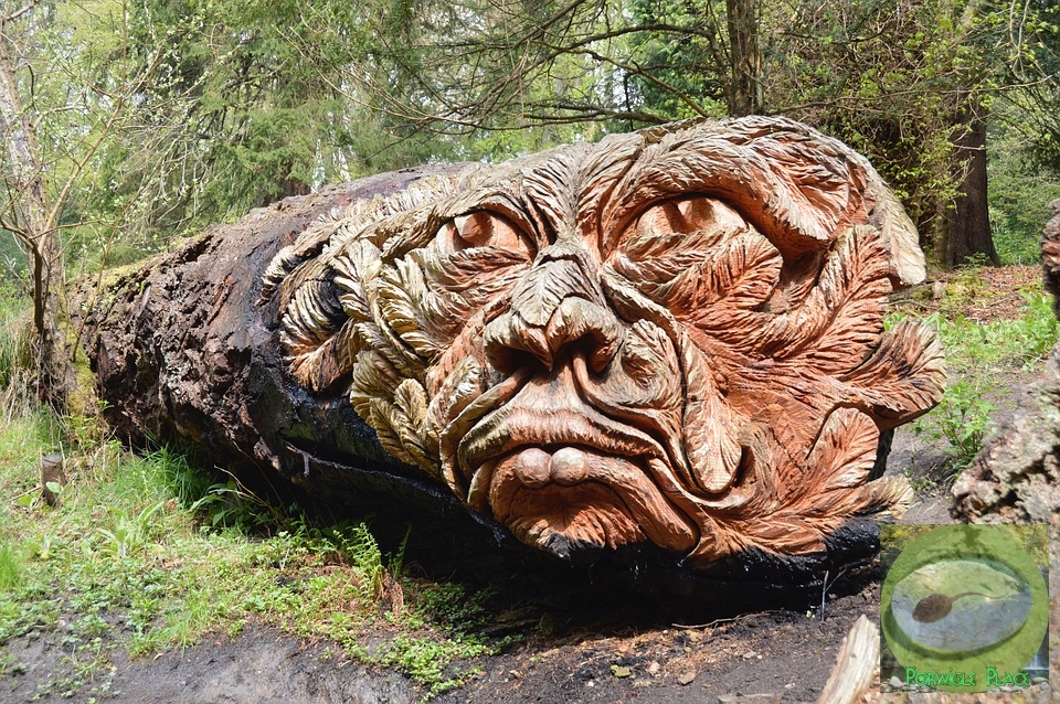 Green Man, Forest Spirit, Ent, Tree Faces!