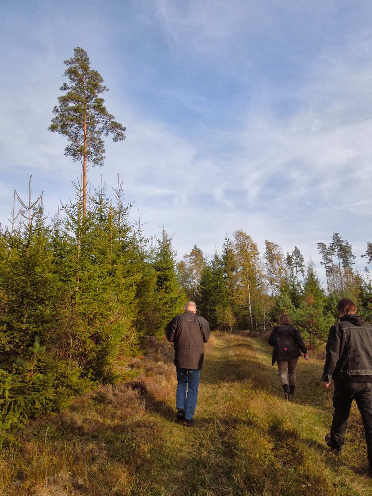 Ingas tankställe: Ordspråk i Limmared