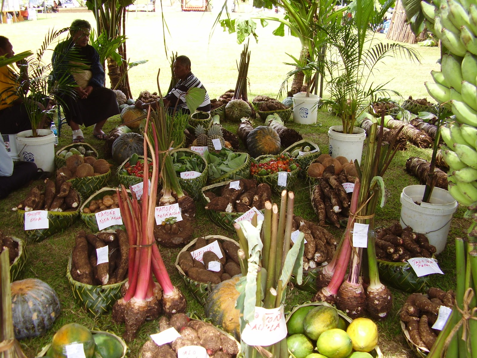 Two for Tonga: Agriculture Show, October 14, 2011