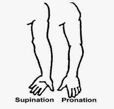 lupita pardosi: Gerakan ROM (Range Of Motion) , Nursing :)