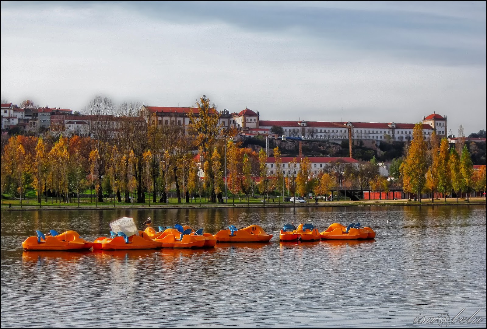 UM PIGO DE LUZ: Parque Verde do Mondego no Outono / Coimbra
