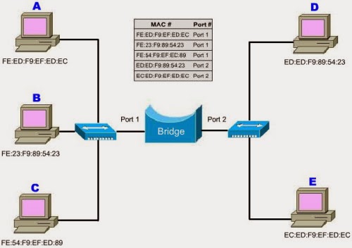 Hardware Untuk Membangun Jaringan Komputer - RAINBOW BROTHERS